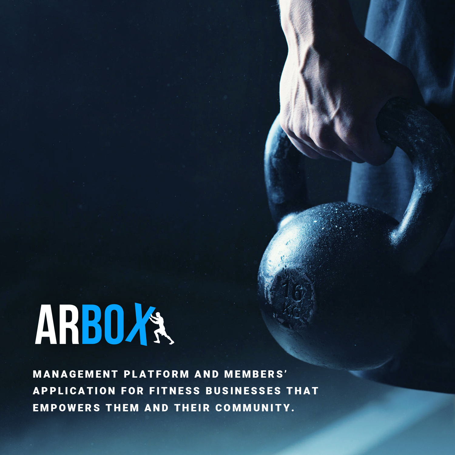 שירי גייגר - מיתוג ועיצוב גרפי לעסקים